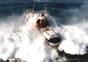 U.S. Coast Guard 44350-44409